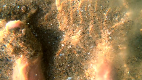 Woman standing bare feet on sandy rocky ... | Stock Video | Pond5