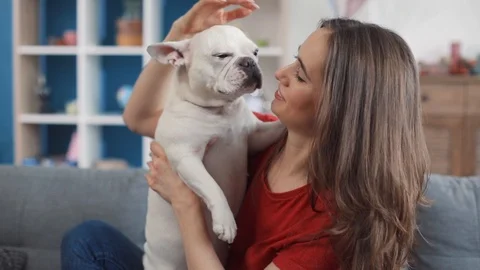 Smiole Dog Stock Videos – Royalty-Free HD & 4K Videos | Pond5