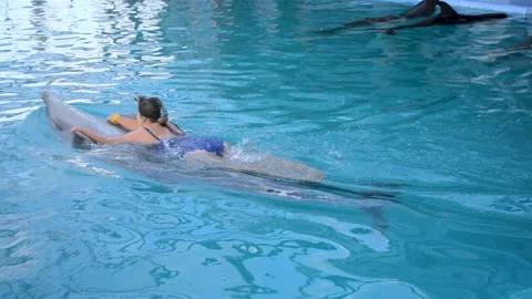 Woman swimming in pool with dolphins. Gi... | Stock Video | Pond5