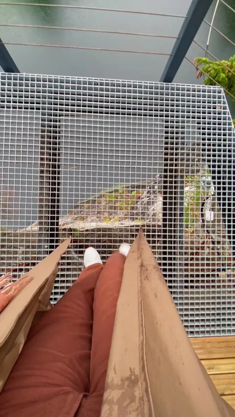 Deck Rock Video Stock Videos – Royalty-Free HD & 4K Videos