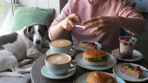 Woman Food Photo Stock Videos – Royalty-Free HD & 4K Videos | Pond5