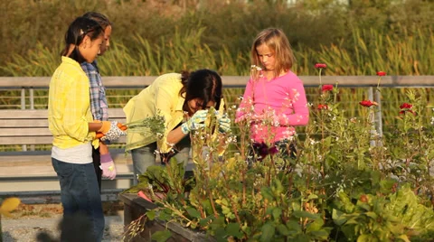 Three Girls Garden Stock Videos – Royalty-Free HD & 4K Videos