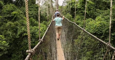 Woman tourist Rope bridge jungle Kakum N... | Stock Video | Pond5