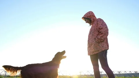 Young Woman Teasing Stock Videos – Royalty-Free HD & 4K Videos