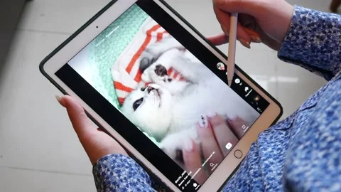 This Pc Watch Stock Videos – Royalty-Free HD & 4K Videos | Pond5