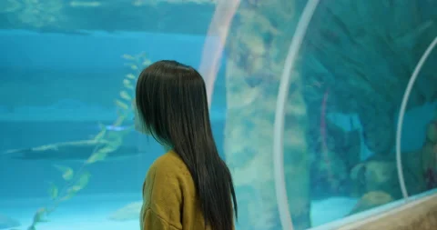 Sharking Japanese Girl Stock Videos – Royalty-Free HD & 4K Videos