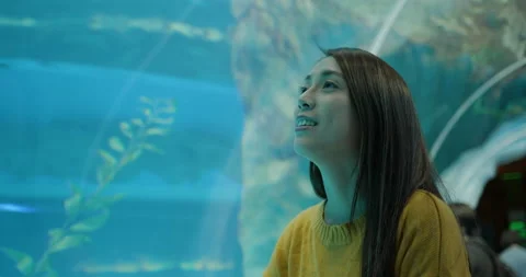 Sharking Japanese Girl Stock Videos – Royalty-Free HD & 4K Videos