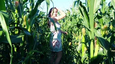 A woman is walking in the corn field. | Stock Video | Pond5