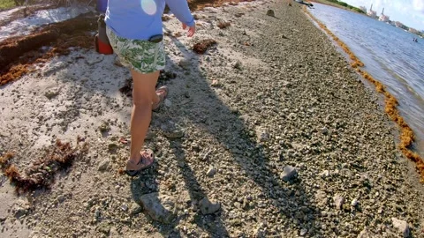 Frek Shows Stock Videos – Royalty-Free HD & 4K Videos | Pond5