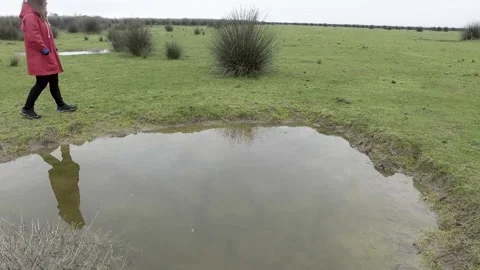 Pond Water Body Stock Videos – Royalty-Free HD & 4K Videos