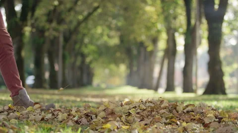 A woman walks through a pile of dead lea... | Stock Video | Pond5
