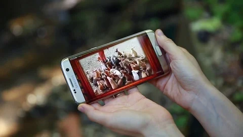 9Jhnzggoo1S Youtube Video Stock Videos – Royalty-Free HD & 4K Videos