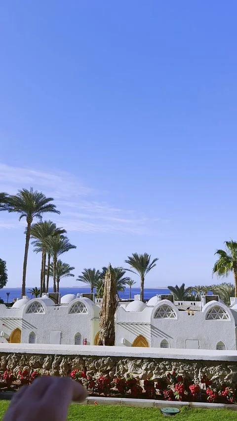 Say Goodbye G Stock Videos – Royalty-Free HD & 4K Videos | Page 2