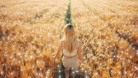 Field Ai Tools Stock Videos – Royalty-Free HD & 4K Videos | Pond5