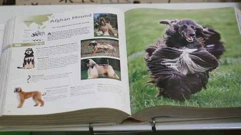 Hand Flip Book Stock Footage ~ Royalty Free Stock Videos | Pond5