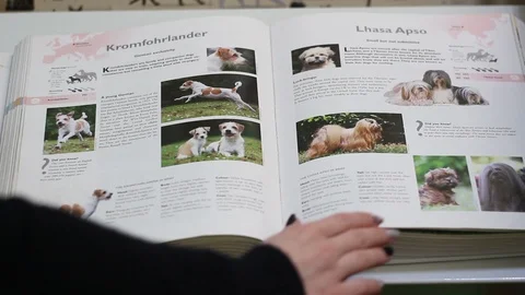 Hand Flip Book Stock Footage ~ Royalty Free Stock Videos | Pond5