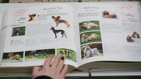 Hand Flip Book Stock Footage ~ Royalty Free Stock Videos | Pond5