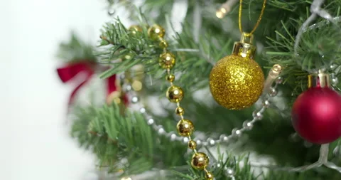 Woman Tree No Stock Videos – Royalty-Free HD & 4K Videos | Page 6