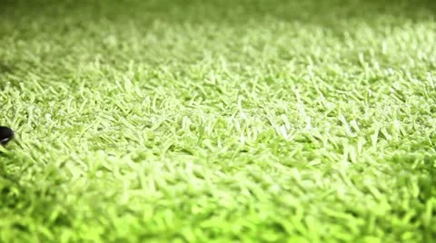 Taking Panties Off Stock Videos – Royalty-Free HD & 4K Videos | Pond5