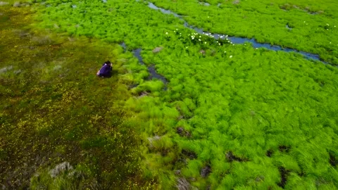 Pictures For Big Stock Videos – Royalty-Free HD & 4K Videos