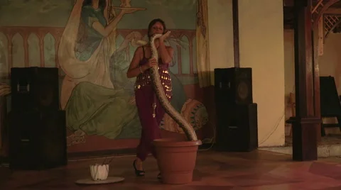 Tall Busty Women Stock Videos – Royalty-Free HD & 4K Videos