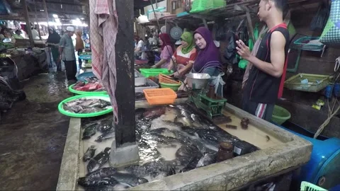 Women Fishmongers butchering fish, Food ... | Stock Video | Pond5