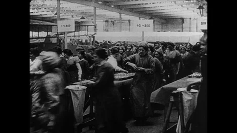 Adjusting and Stock Videos – Royalty-Free HD & 4K Videos