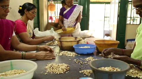 Women picking and sorting cashew nuts. | Stock Video | Pond5