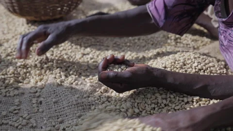 Women Off The Stock Videos – Royalty-Free HD & 4K Videos