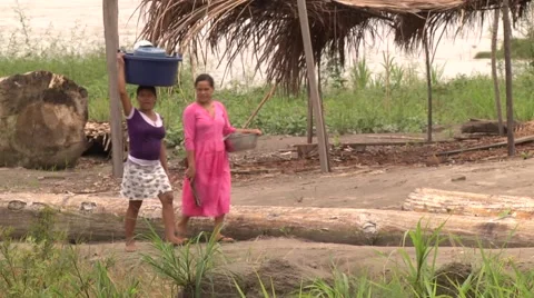 Women In Amazon Stock Videos – Royalty-Free HD & 4K Videos