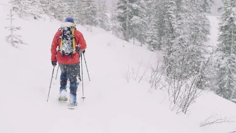 Women snowshoeing among trees in snowy w... | Stock Video | Pond5