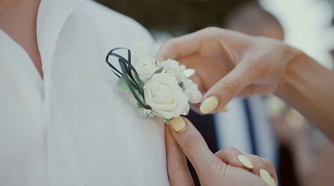 Women Groom Men Stock Videos – Royalty-Free HD & 4K Videos | Pond5