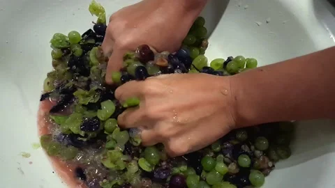 Squeeze Grapes Stock Videos – Royalty-Free HD & 4K Videos