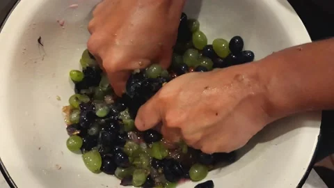 Squeeze Grapes Stock Videos – Royalty-Free HD & 4K Videos