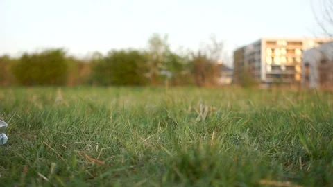 Women Stepping Up Stock Videos – Royalty-Free HD & 4K Videos