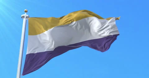 Women's Suffrage Flag, American suffrage... | Stock Video | Pond5