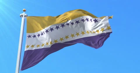 Women's Suffrage Flag. Loop | Stock Video | Pond5