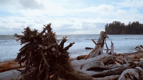 La Push Beach Stock Videos – Royalty-Free HD & 4K Videos | Pond5