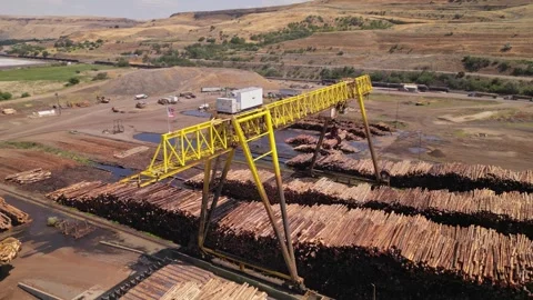 wood and timber processing. A Pile Of Wo... | Stock Video | Pond5