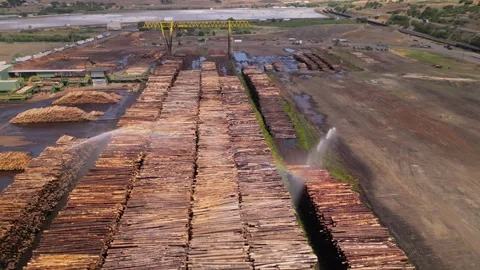 Timber Pile Stock Footage ~ Royalty Free Stock Videos | Pond5