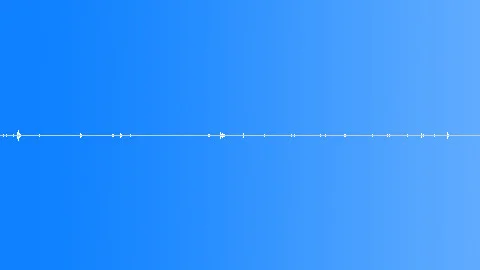 Wood Creak, Movement, Footstep on Dock, Shuffling Feet, Bird Squawking ...