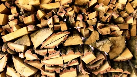 Wood, cutted forest . Front view horizon... | Stock Video | Pond5