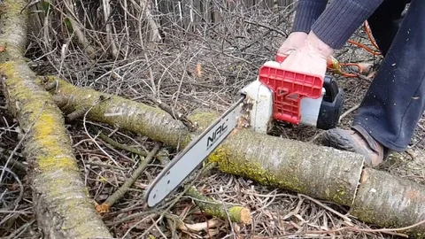 Yeah It Worked Stock Videos – Royalty-Free HD & 4K Videos | Pond5