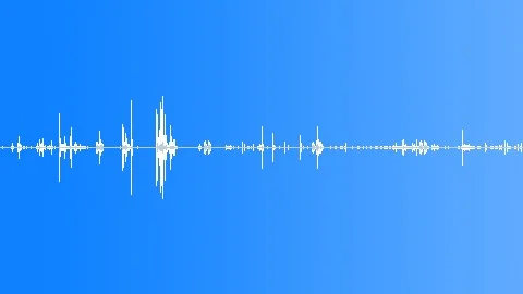 Wood Drop, Cracking, Breaking, Splitting Small Pieces, Snapping, Leafy ...