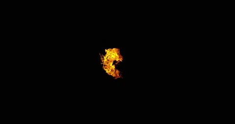 Wood fire flame, flame, real fire, alpha... | Stock Video | Pond5