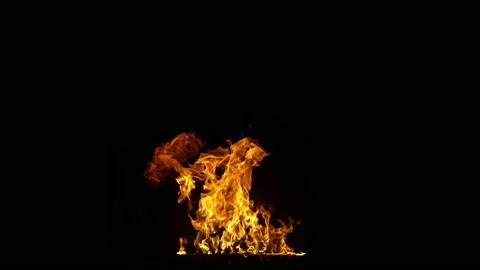 Wood fire flame, flame, real fire, alpha... | Stock Video | Pond5