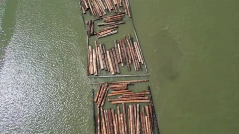 Floating Logs Stock Video Footage | Royalty Free Floating Logs Videos ...