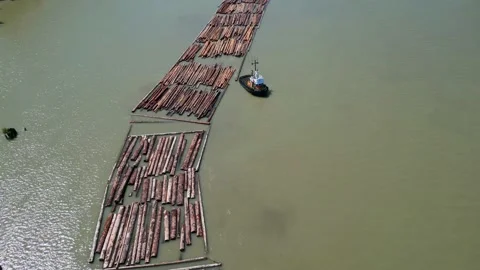 Floating Logs Stock Video Footage | Royalty Free Floating Logs Videos ...