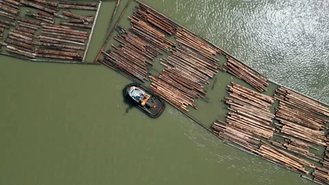 Floating Logs Stock Video Footage | Royalty Free Floating Logs Videos ...