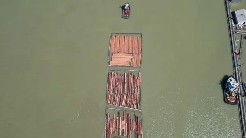 Floating Logs Stock Video Footage | Royalty Free Floating Logs Videos ...